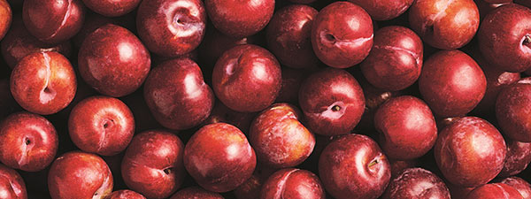 Summer Ideas and Inspiration - Morrisons