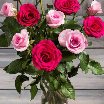 Flowers Available Online and Instore -Morrisons